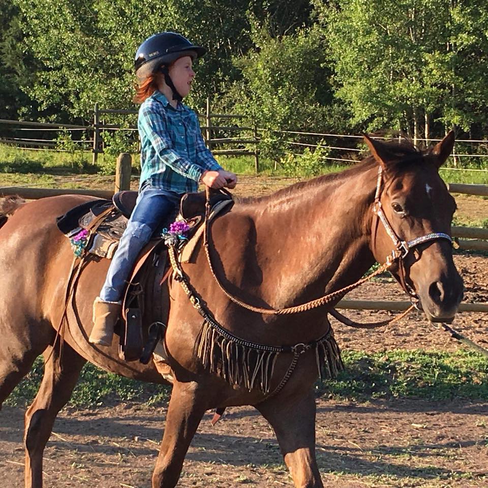 Our Services | Sagebrush Ranch