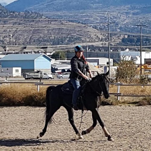 Home | Sagebrush Ranch