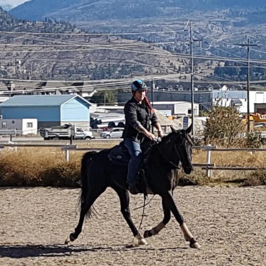 Home | Sagebrush Ranch