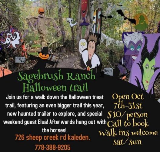 Our Services | Sagebrush Ranch