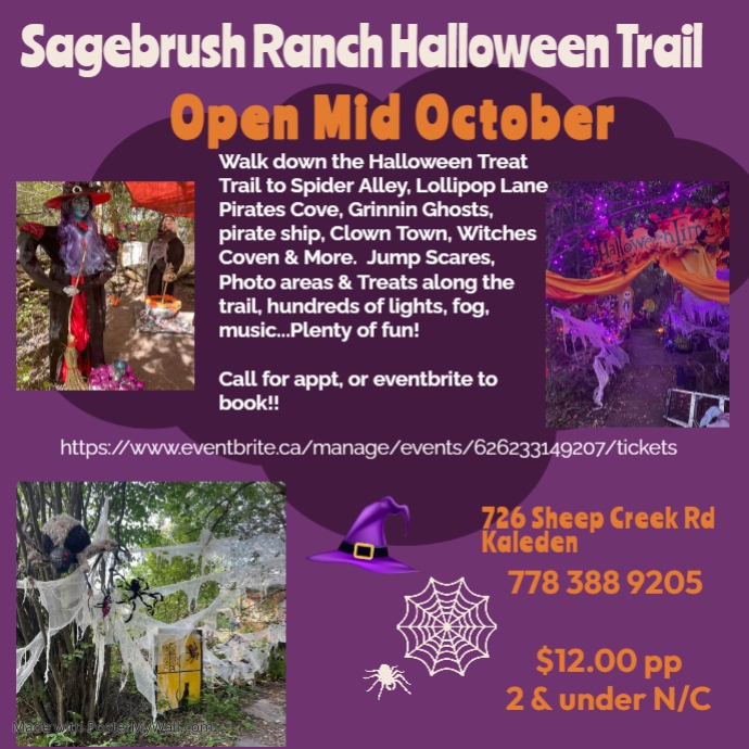 Our Services | Sagebrush Ranch