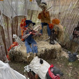 Home | Sagebrush Ranch