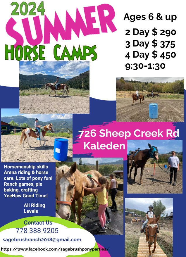 Our Services | Sagebrush Ranch